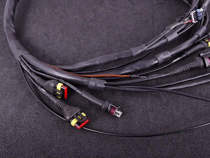 Terminated Engine Harness - GM LS GEN III/IV including MaxxECU RACE ki ...